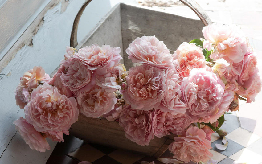 Create Homegrown Rose Arrangements