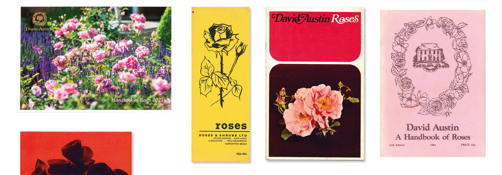 Michael And David Austin