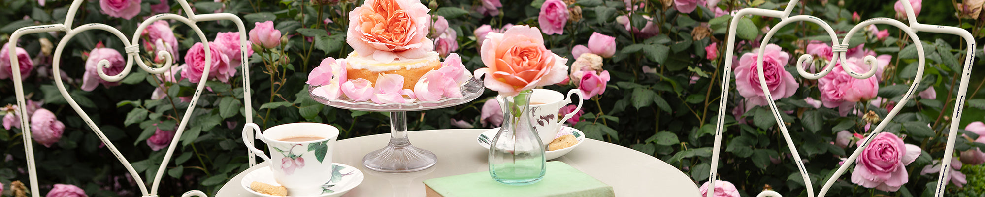 Happy Birthday Roses | Birthday Gifts | David Austin Roses