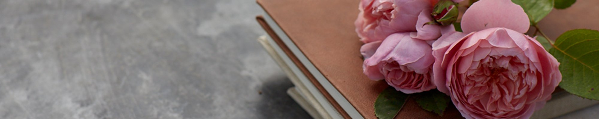 Best Books On Roses | David Austin Roses