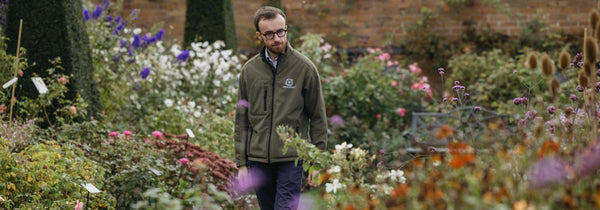 Companion Planting with Shrub Roses By Liam Beddall | David Austin