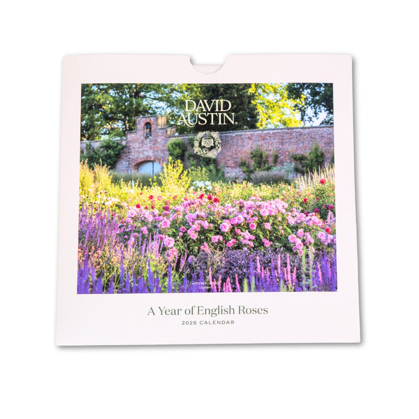 David Austin 2026 Wall Calendar - Calendar - Gifts