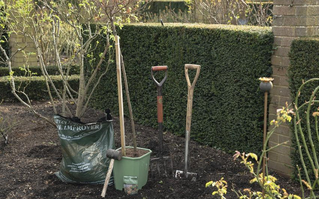 Designing with Standard Roses | David Austin