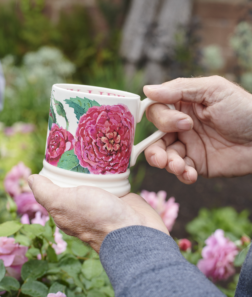 English Roses from David Austin Roses | Bare Root & Potted Plants