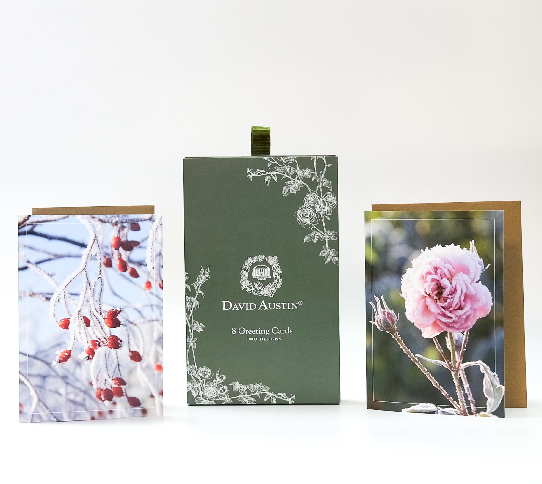 David Austin Winter Greeting Cards - Gifts