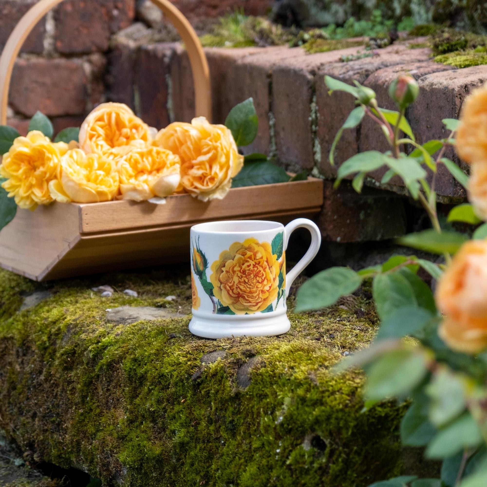 Bring Me Sunshine ½ Pint Mug