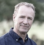 Congratulations | Hybrid Tea | David Austin Roses