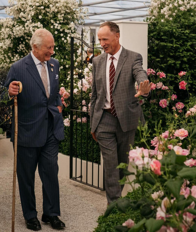 A Year in Bloom: Looking Back at 2025 | David Austin