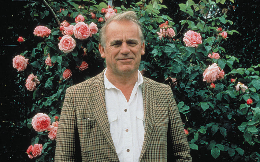 Remembering our Founder: Behind the English Rose | David Austin
