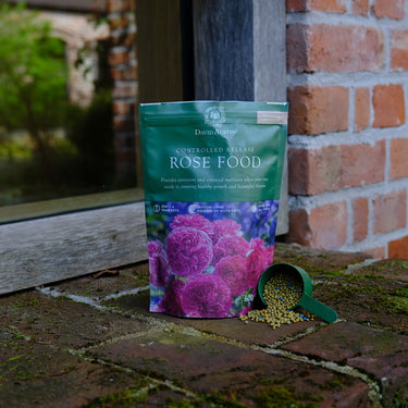 How To Mulch Your Roses