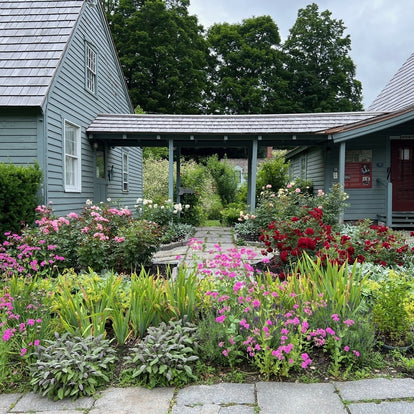 Gertrude Jekyll’s Design at the Glebe House Garden | David Austin