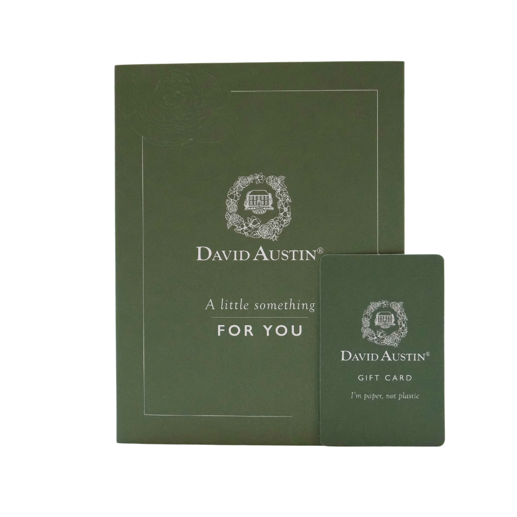David Austin Roses Gift Card