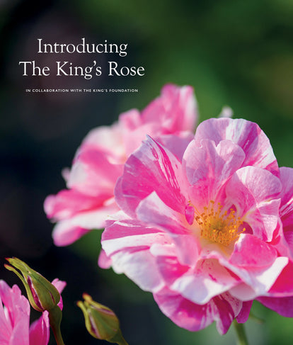 The King's Rose