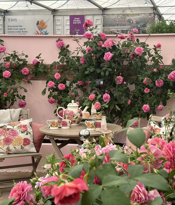 Emma Bridgewater™ Rose launch