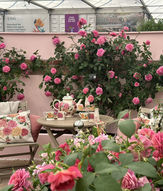 Emma Bridgewater™ Rose launch