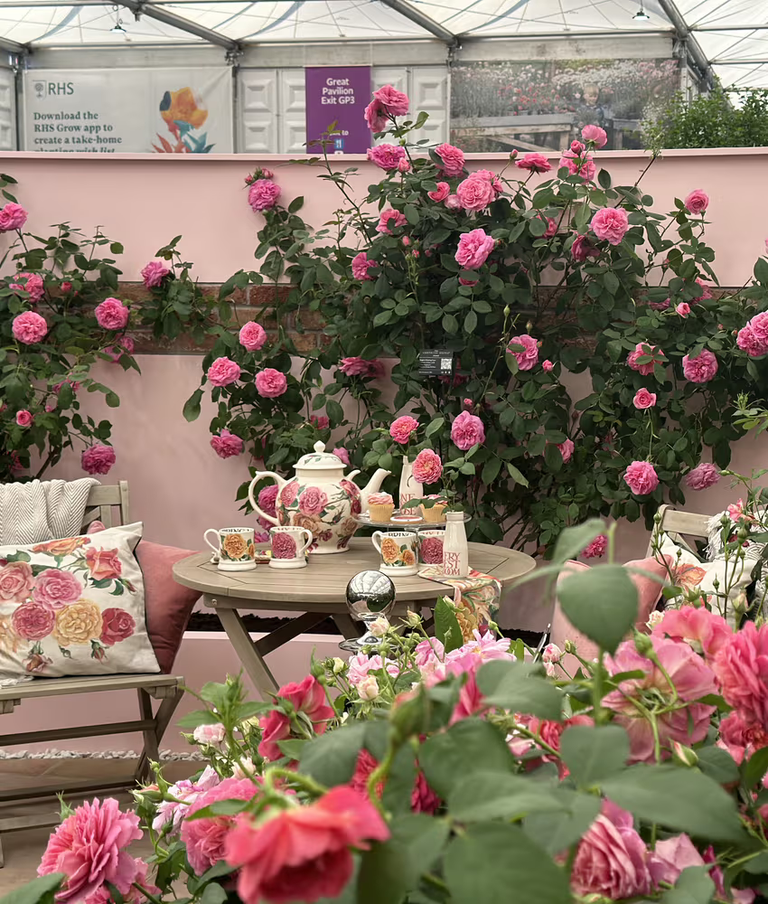 Emma Bridgewater™ Rose launch