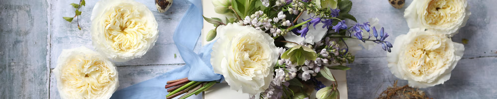 David Austin Wedding Roses - Luxury Cut Roses