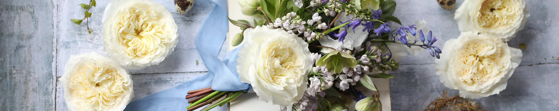 David Austin Wedding Roses - Luxury Cut Roses