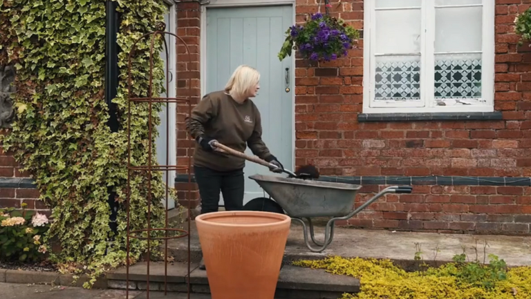 How To Plant Your Potted Climbing Rose In A Pot