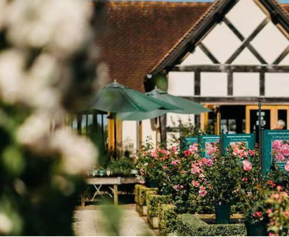 Food and Drink at David Austin